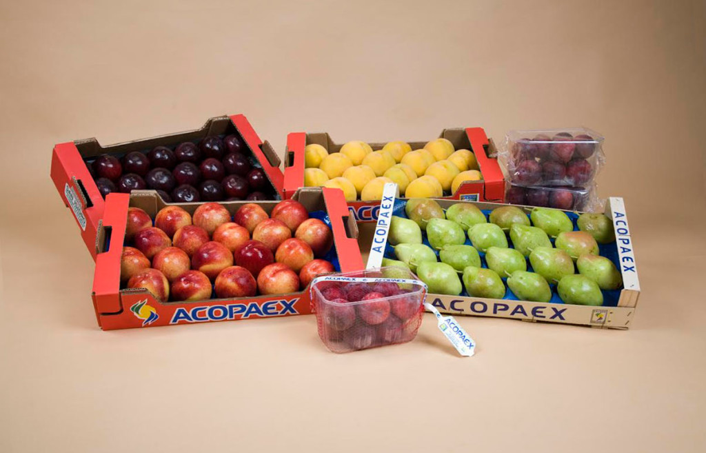 Productos – Acopaex